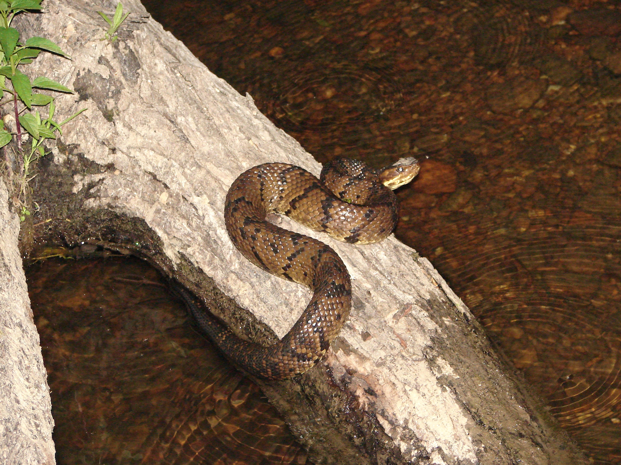 Other Activities - Fort Leonard Wood - iSportsman